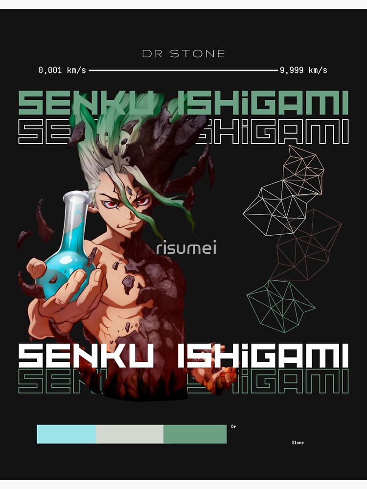 "Senku IshigamI" Sticker for Sale by risumei | Redbubble