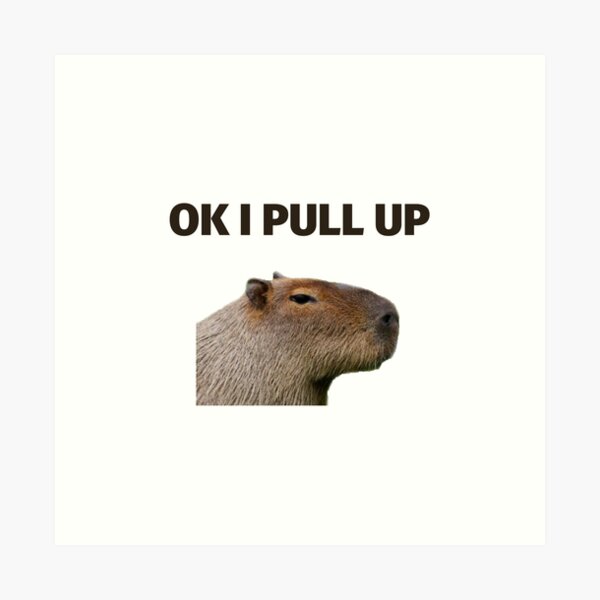 "Capybara Meme - Ok I Pull Up" Art Print for Sale by SimpleUniverse ...