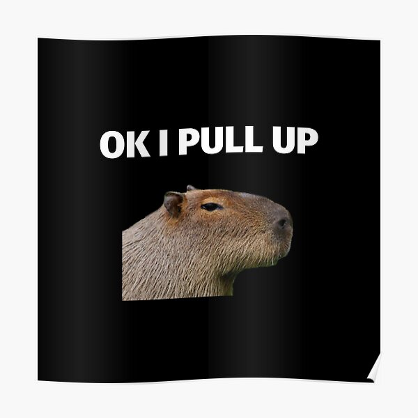 "Capybara Meme - Ok I Pull Up" Poster for Sale by SimpleUniverse ...