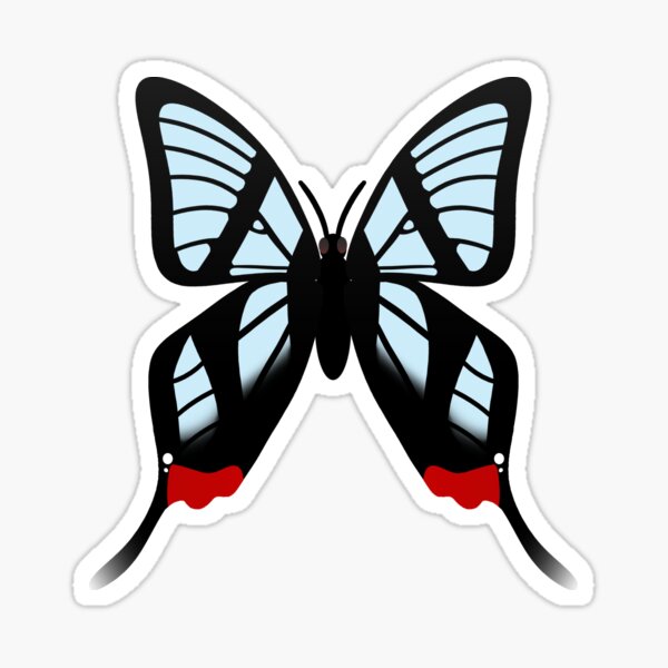 " Glasswing Swallowtail Butterfly" Sticker by Elisecv | Redbubble