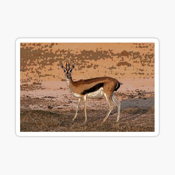 "Thomson's Gazelle" Sticker for Sale by maryloufletcher | Redbubble