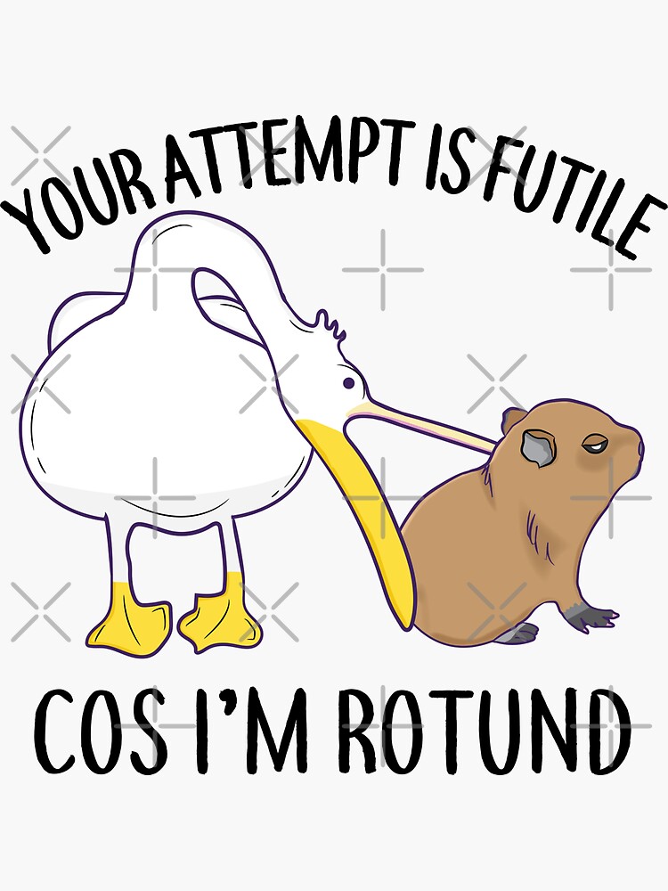 "I'm Rotund Baby Capybara Pelican Funny Cute Chill Meme" Sticker for ...