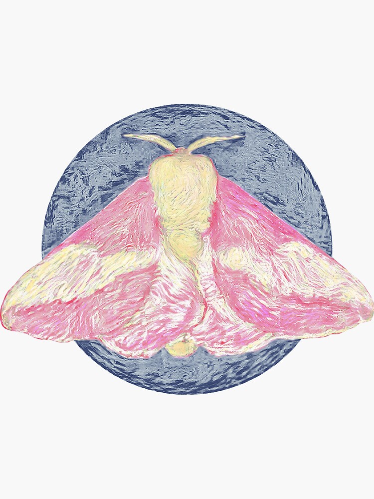 "Rosy Maple Moth" Sticker for Sale by InspireMoment | Redbubble