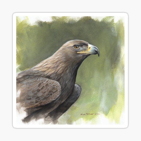 "Golden Eagle" Sticker for Sale by LucaMilioneArt | Redbubble