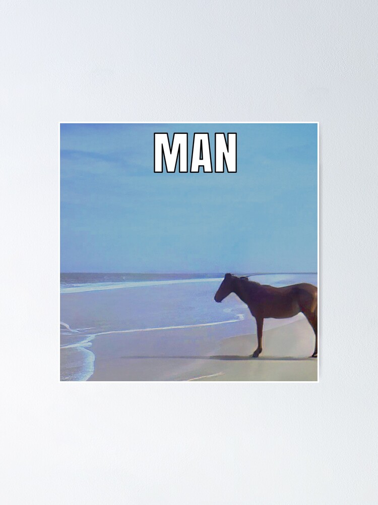 "Man ♞ HD / Horse on Beach Meme" Poster for Sale by Rzera- | Redbubble