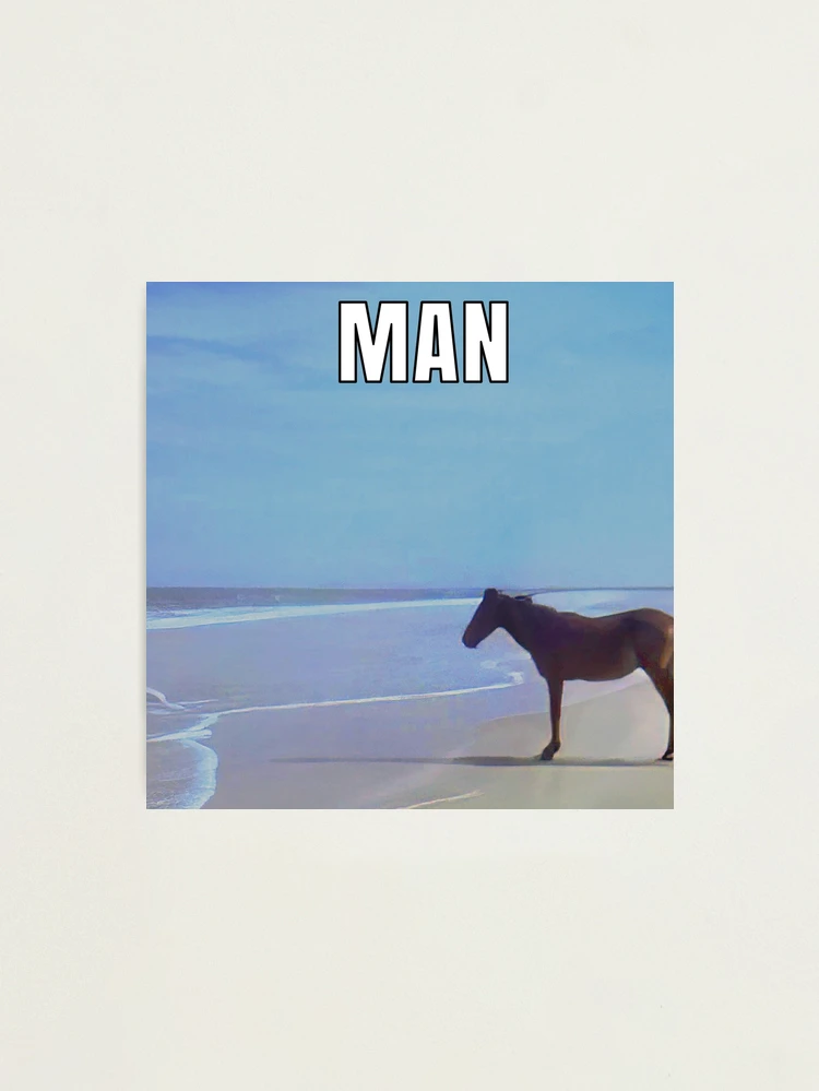 Guy Horse Memes