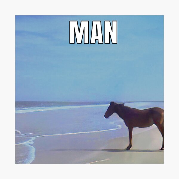 "Man ♞ HD / Horse on Beach Meme" Photographic Print for Sale by Rzera ...