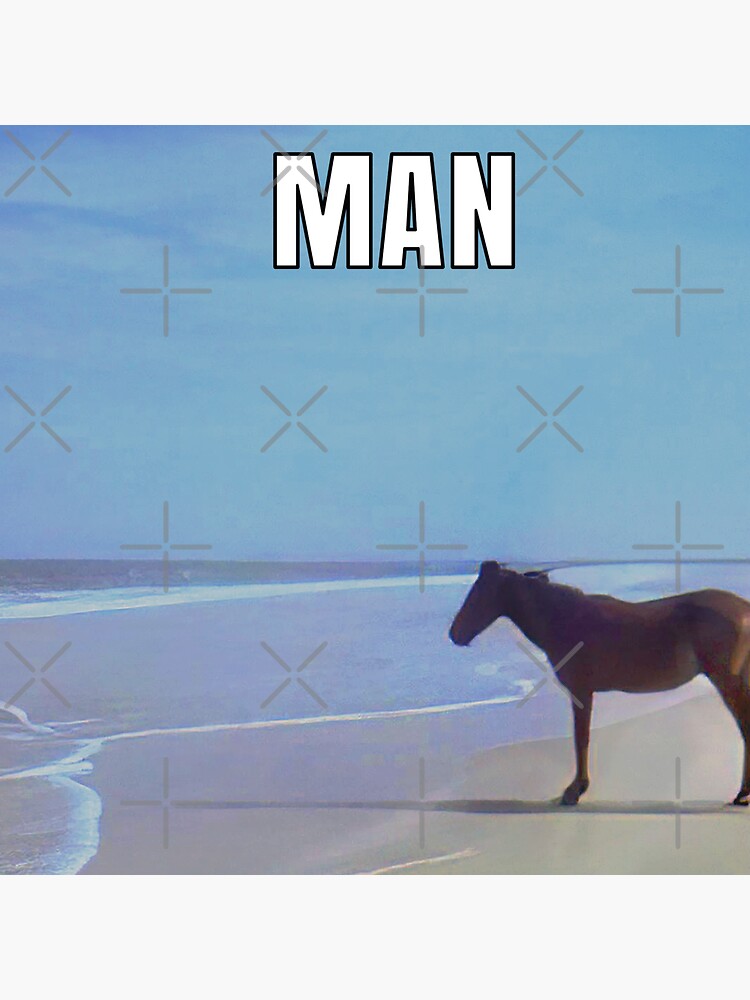 Guy Horse Memes
