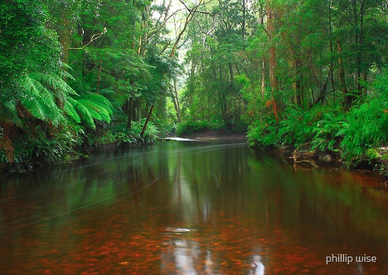 "Black River at Mawbanna " by phillip wise | Redbubble