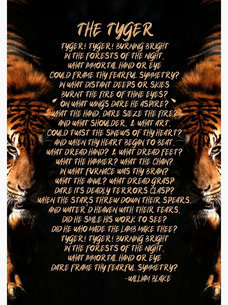 "The Tyger Classic Poem by William Blake" Poster for Sale by ...