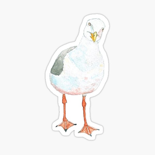 "Seagull" Sticker for Sale by em-nelly-art | Redbubble