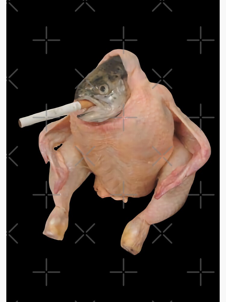 Fish Chicken Memes