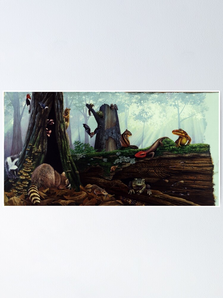 "Forest Animal Life in a Dead Tree" Poster for Sale by ScienceSource ...