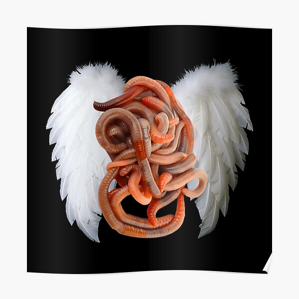"Worm Angel" Poster for Sale by asenath-w | Redbubble