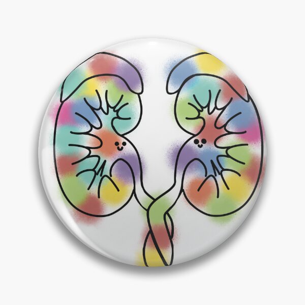 Chapa «Rainbow Hugs of Cute kawaii Kidneys y el boceto de la glándula ...