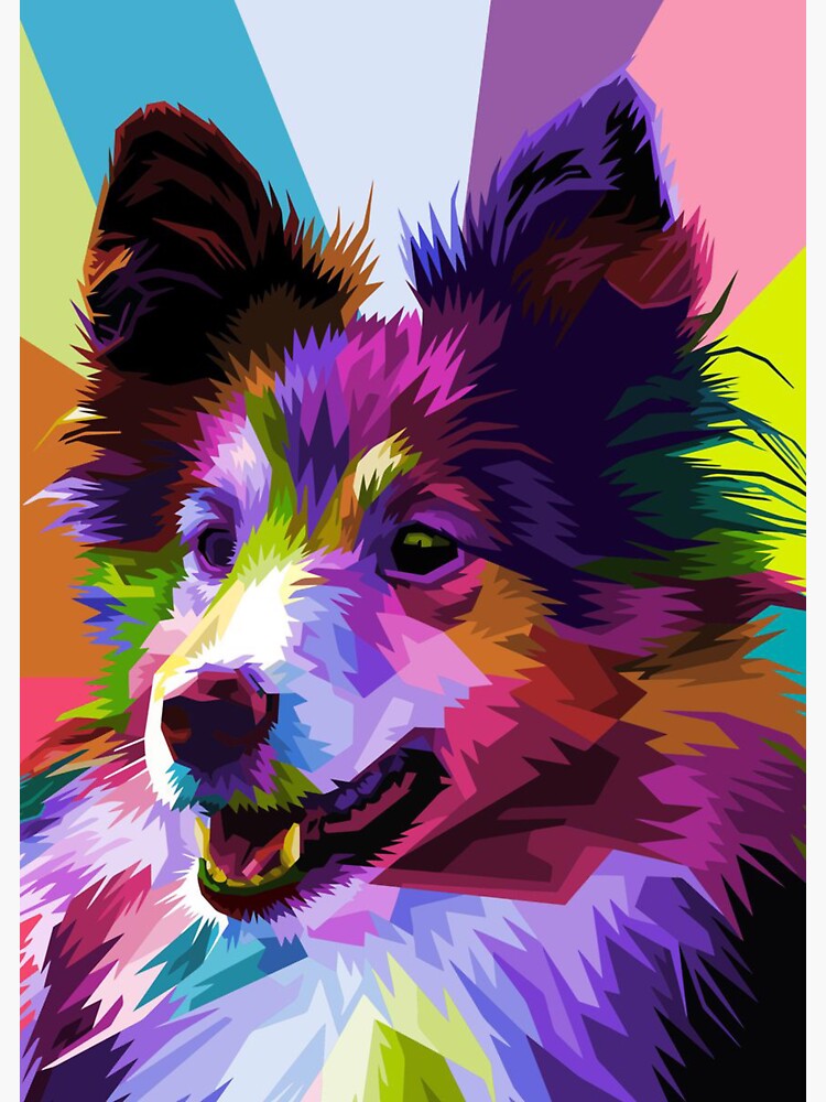 "Border Collie pop art" Sticker for Sale by albiebriggs98 | Redbubble