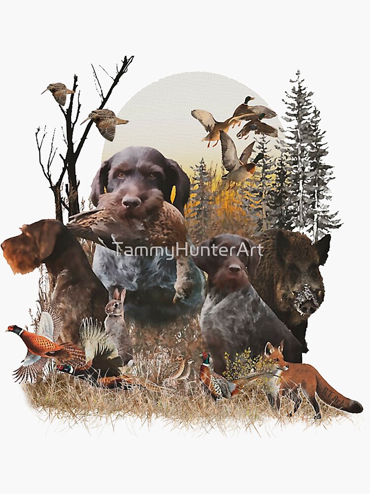 "German Wirehaired Pointers , Always ready to hunt" Sticker for Sale by ...