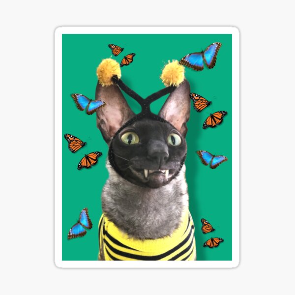 "Bumblecat" Sticker for Sale by Pixel & Sophie | Redbubble