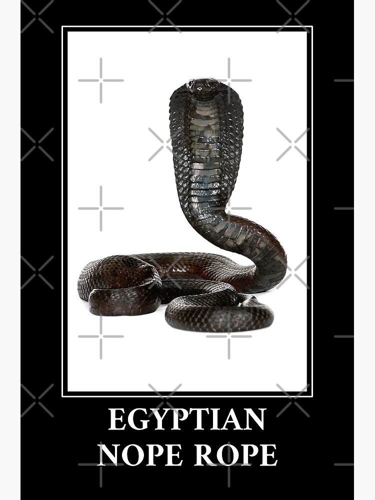 "Egyptian Nope Rope - Cobra Snake Danger" Poster for Sale by GEEK ...