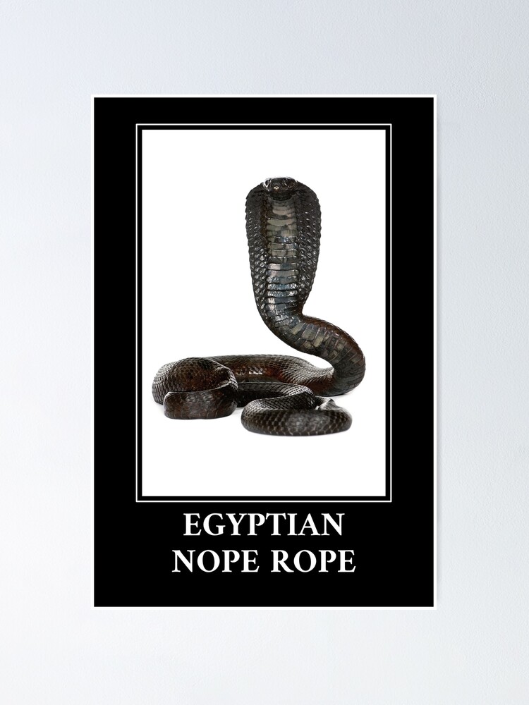 "Egyptian Nope Rope - Cobra Snake Danger" Poster for Sale by GEEK ...