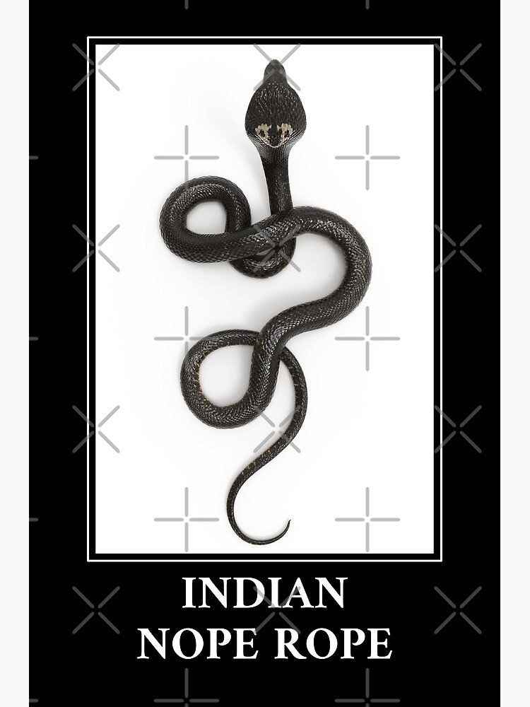 "Indian Nope Rope - Cobra Snake Danger" Poster for Sale by GEEK-FACTORY-EU | Redbubble