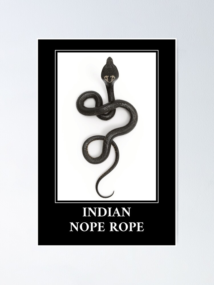 "Indian Nope Rope - Cobra Snake Danger" Poster for Sale by GEEK-FACTORY ...