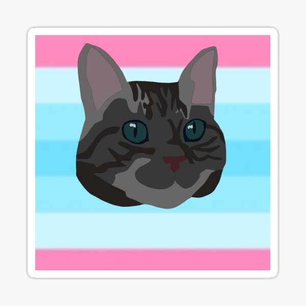"Trans masculine flag behind a dark grey cat" Sticker by LeahcarsArt ...