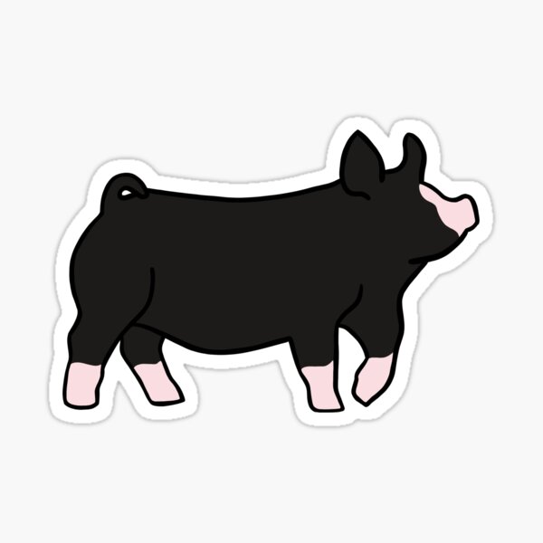 "Berkshire Show Pig " Sticker for Sale by taylorj1215 | Redbubble