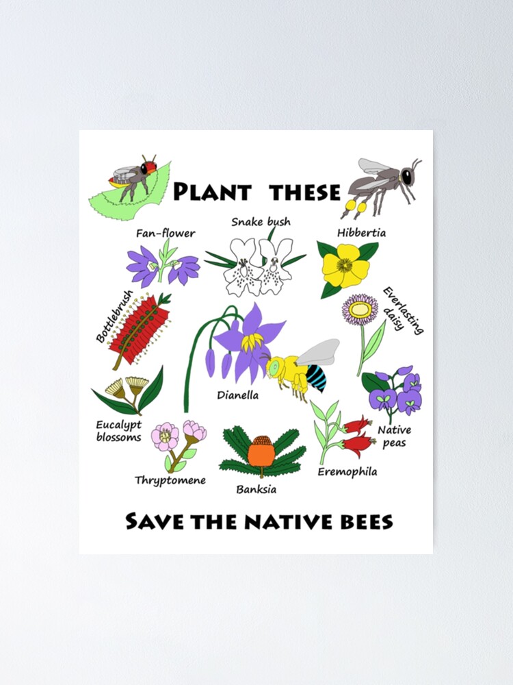 "Plant These Save The Native Bees" Poster for Sale by LassBangoura ...