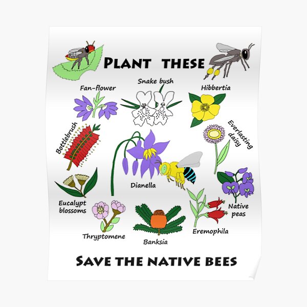 "Plant These Save The Native Bees" Poster for Sale by LassBangoura ...