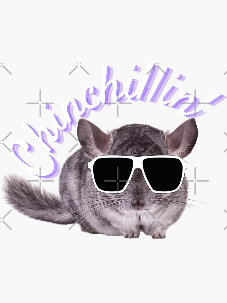 "Chinchillin Chinchilla" Sticker for Sale by FlakeyBiscuit3 | Redbubble