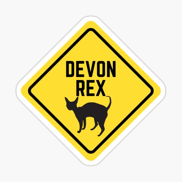 "Warning Devon Rex cat" Sticker for Sale by tcmihe | Redbubble