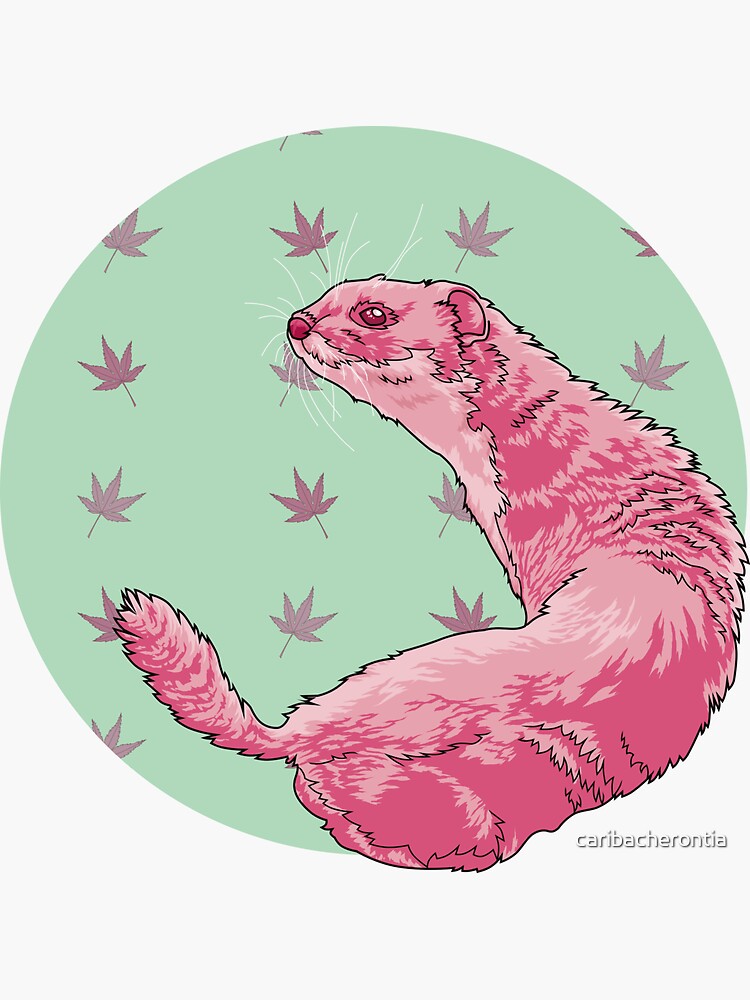 "The pink weasel" Sticker for Sale by LaBeletteRose | Redbubble