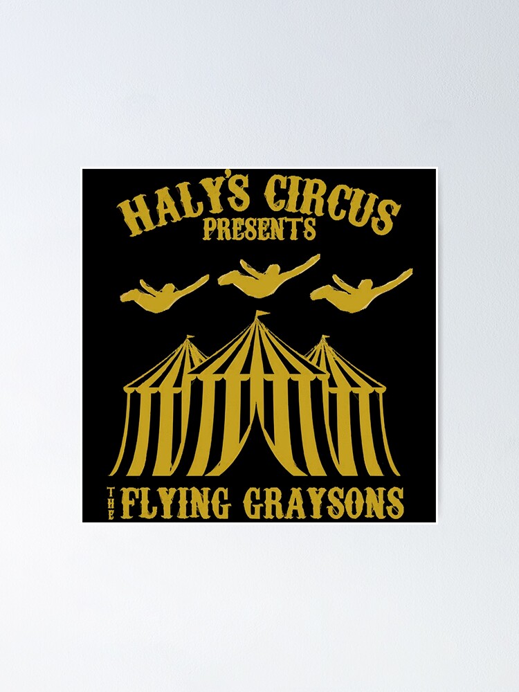 "The Flying Graysons" Poster for Sale by Loganjose38 | Redbubble