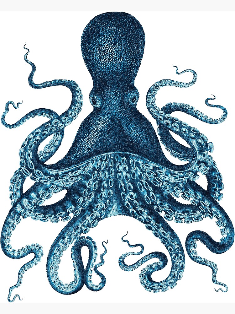 "Blue Octopus. Giant Pacific Octopus Art." Poster for Sale by elhubert ...
