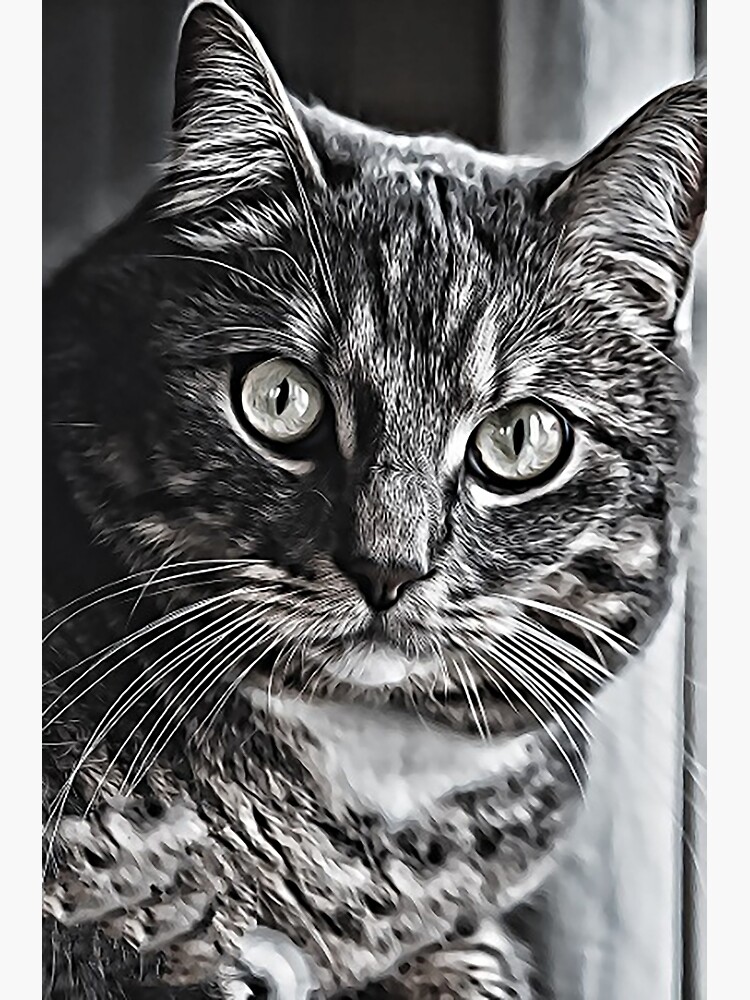 " Cat" Sticker for Sale by BArtHouse | Redbubble