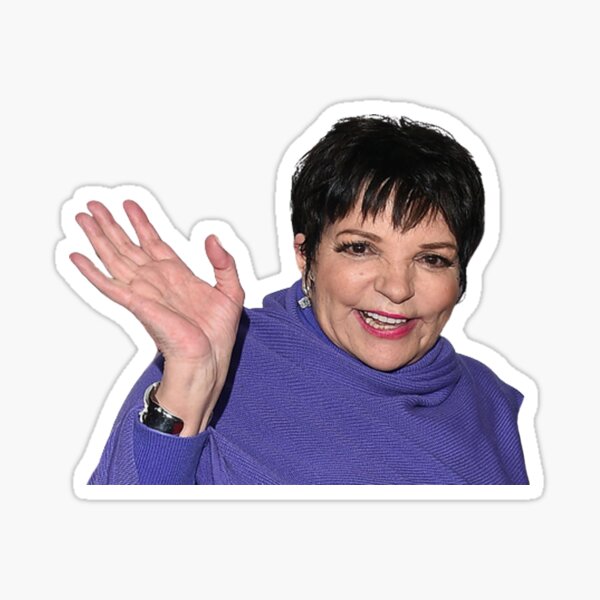 "Liza Minnelli" Sticker for Sale by BraveMango | Redbubble