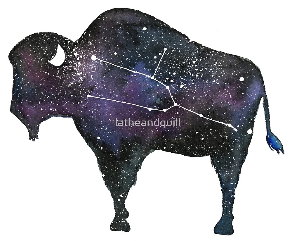"Bison Constellation" by latheandquill | Redbubble