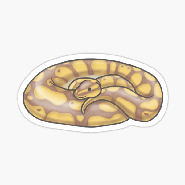 "Banana ball python" Sticker by CordieDittus | Redbubble