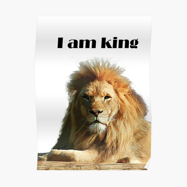 Póster «Soy rey - Rey león de los animales» de LEONSE | Redbubble
