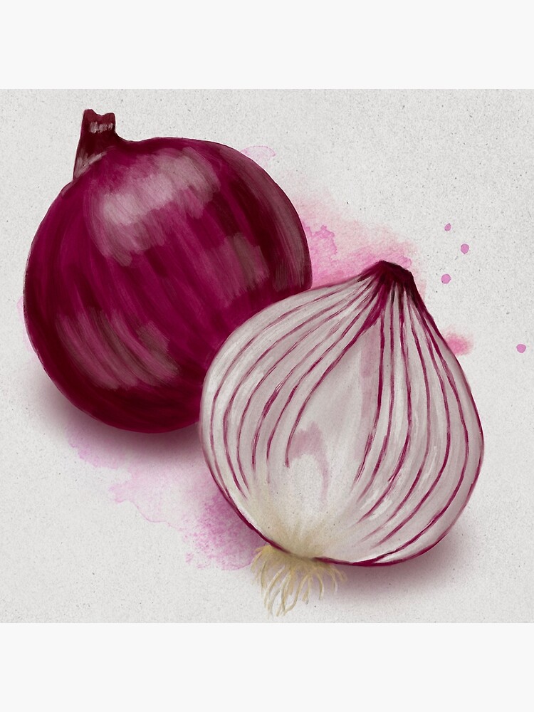 Red Onion Drawing