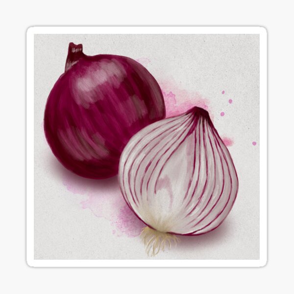 "Realistic red onion" Sticker for Sale by Karina-Cross | Redbubble