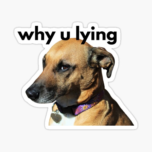 "why u lying " Sticker for Sale by EdelSchrott | Redbubble