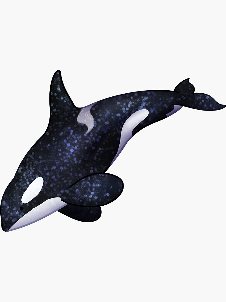 "Cozy Orca" Sticker for Sale by FeenicksPhoenix | Redbubble