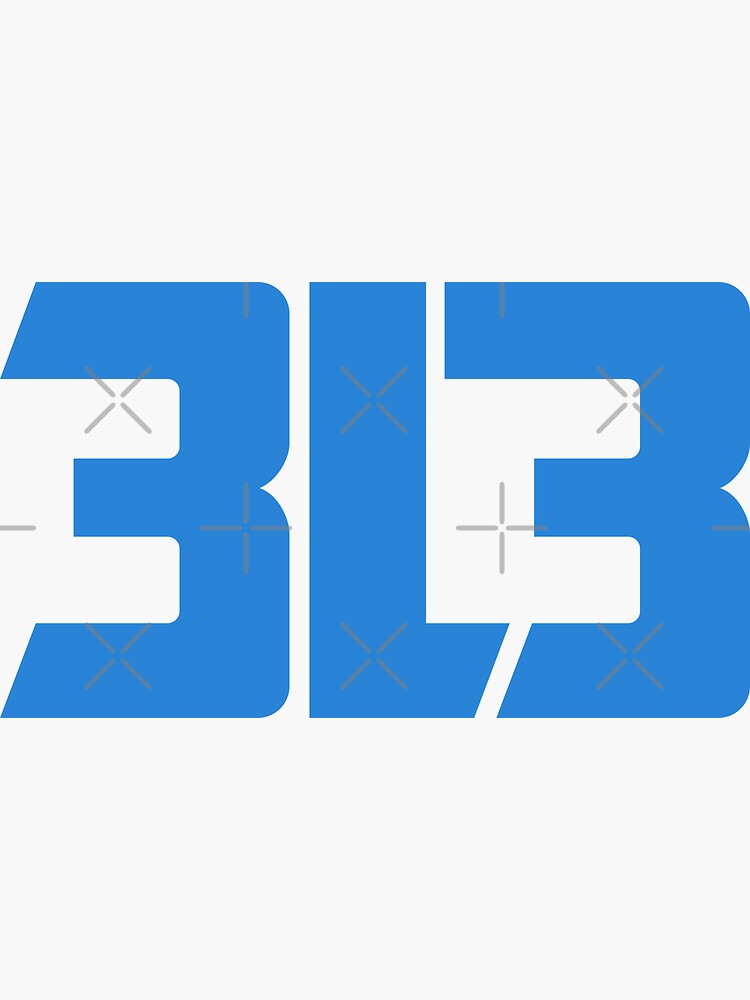 "Detroit 313 / 3L3" Sticker for Sale by motorcitydibby | Redbubble