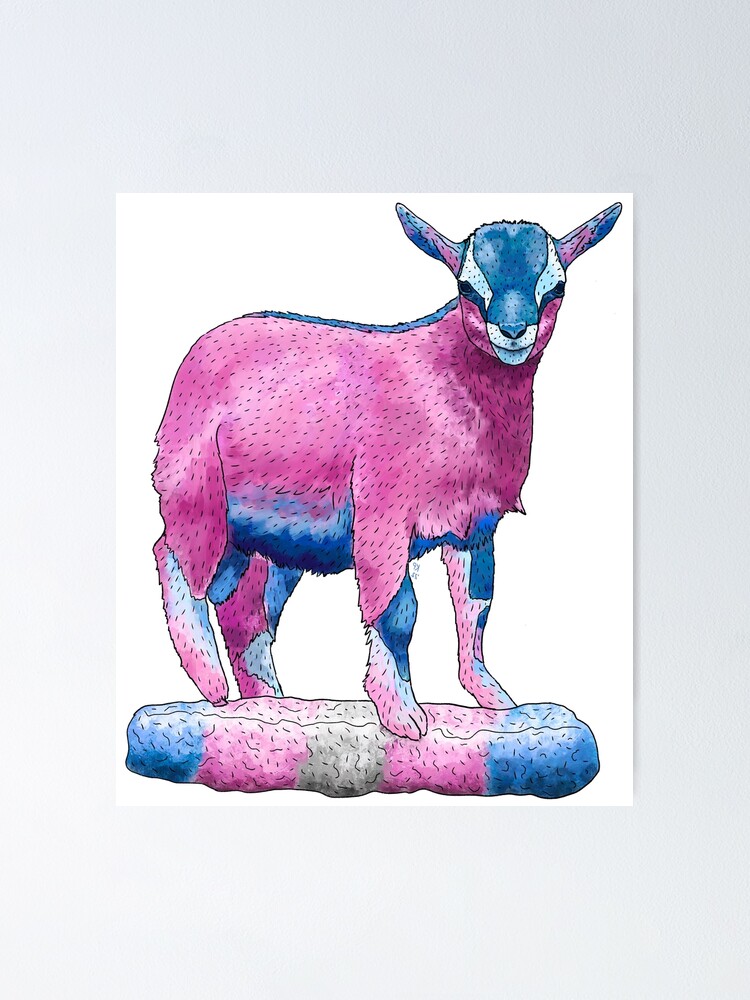 "Transgender Baby Goat Trans Pride" Poster for Sale by kylepeterart ...