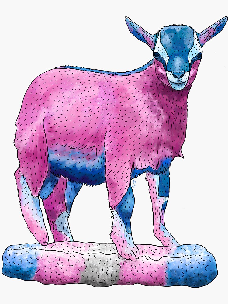 "Transgender Baby Goat Trans Pride" Sticker for Sale by kylepeterart ...