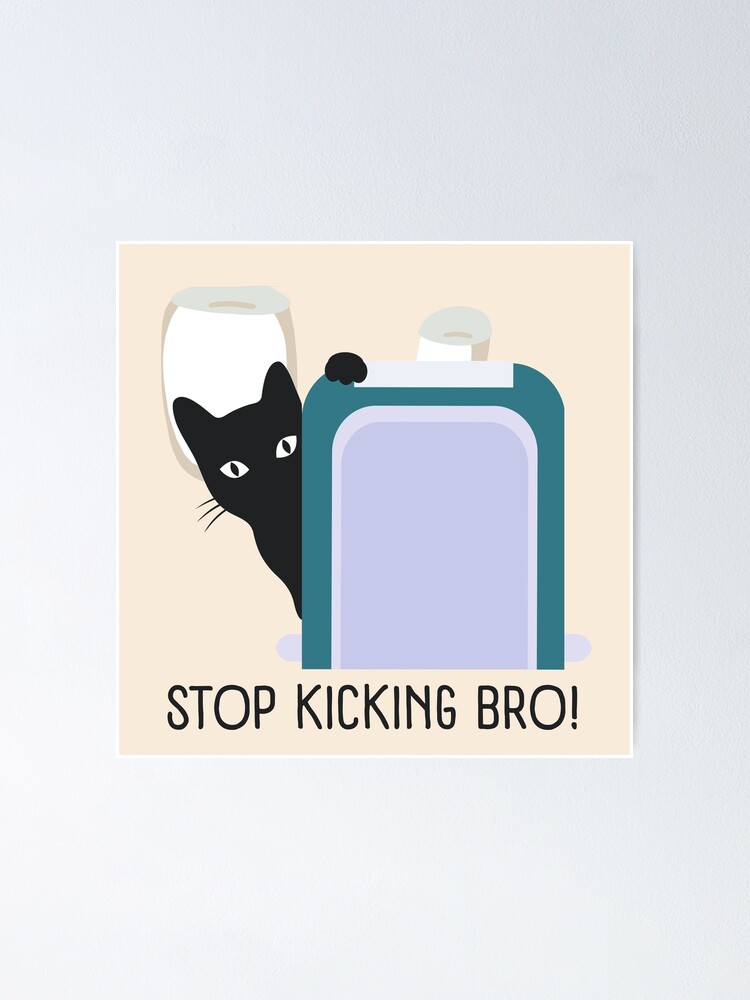"Stop Kicking Bro!" Poster for Sale by trendingatees | Redbubble