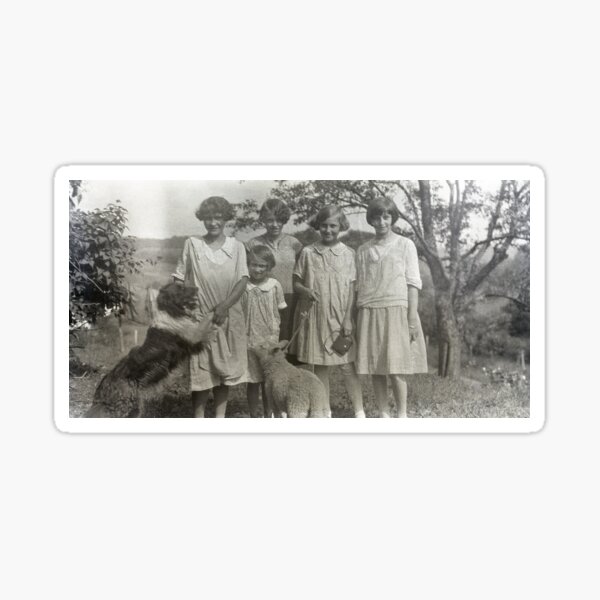 "Vintage Family Outdoors" Sticker for Sale by BGPickers | Redbubble