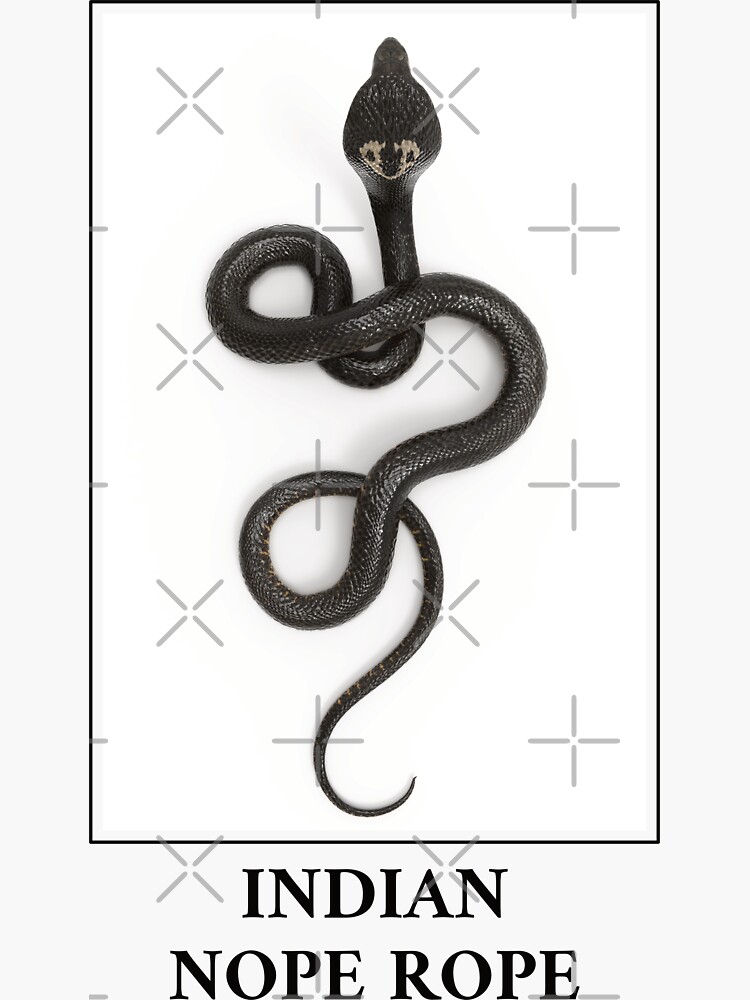 "Indian Nope Rope - Cobra Snake Danger" Sticker by GEEK-FACTORY-EU ...